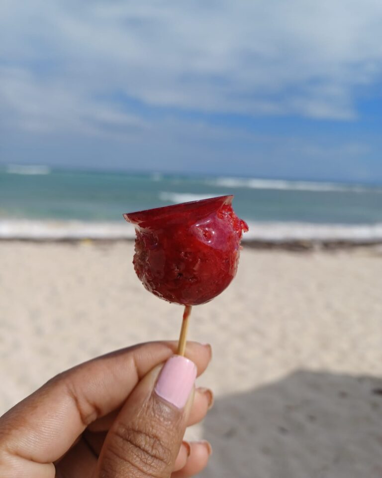 “Palito de coco”, una delicia típica - Mi Dominicana RD